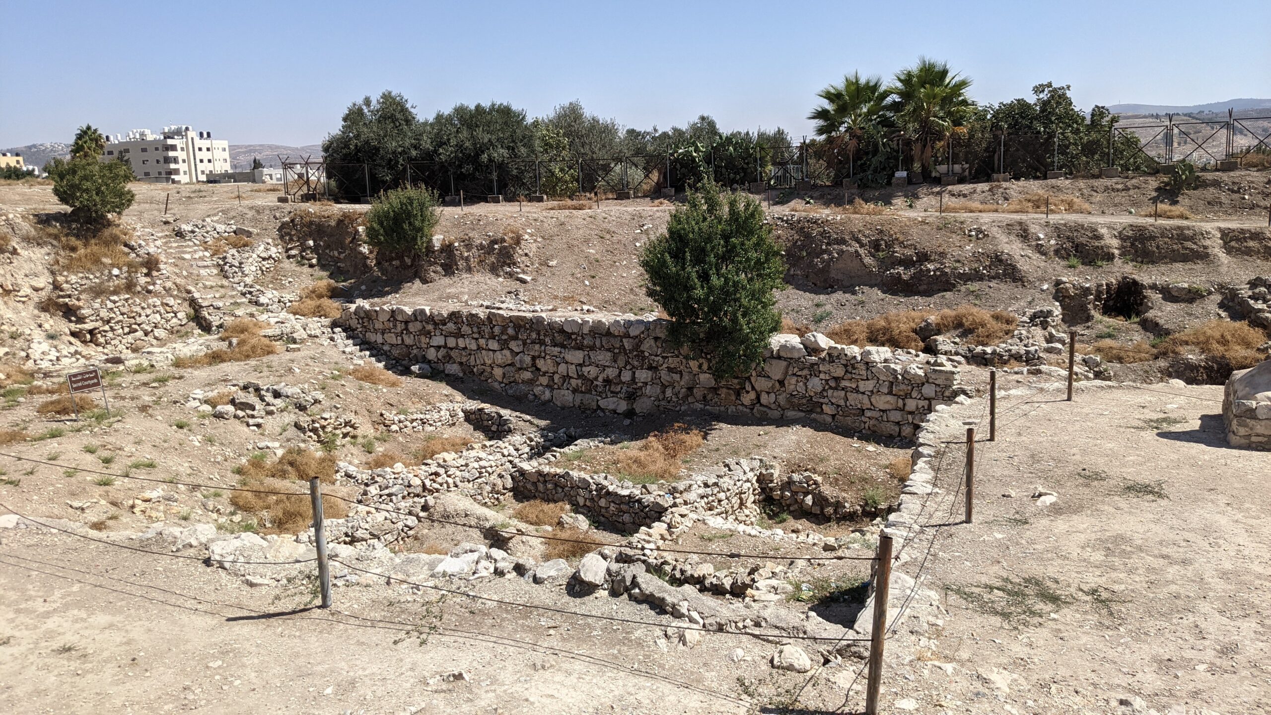 Choose this Day: Lessons from the Kings of Israel – Dalton Williams