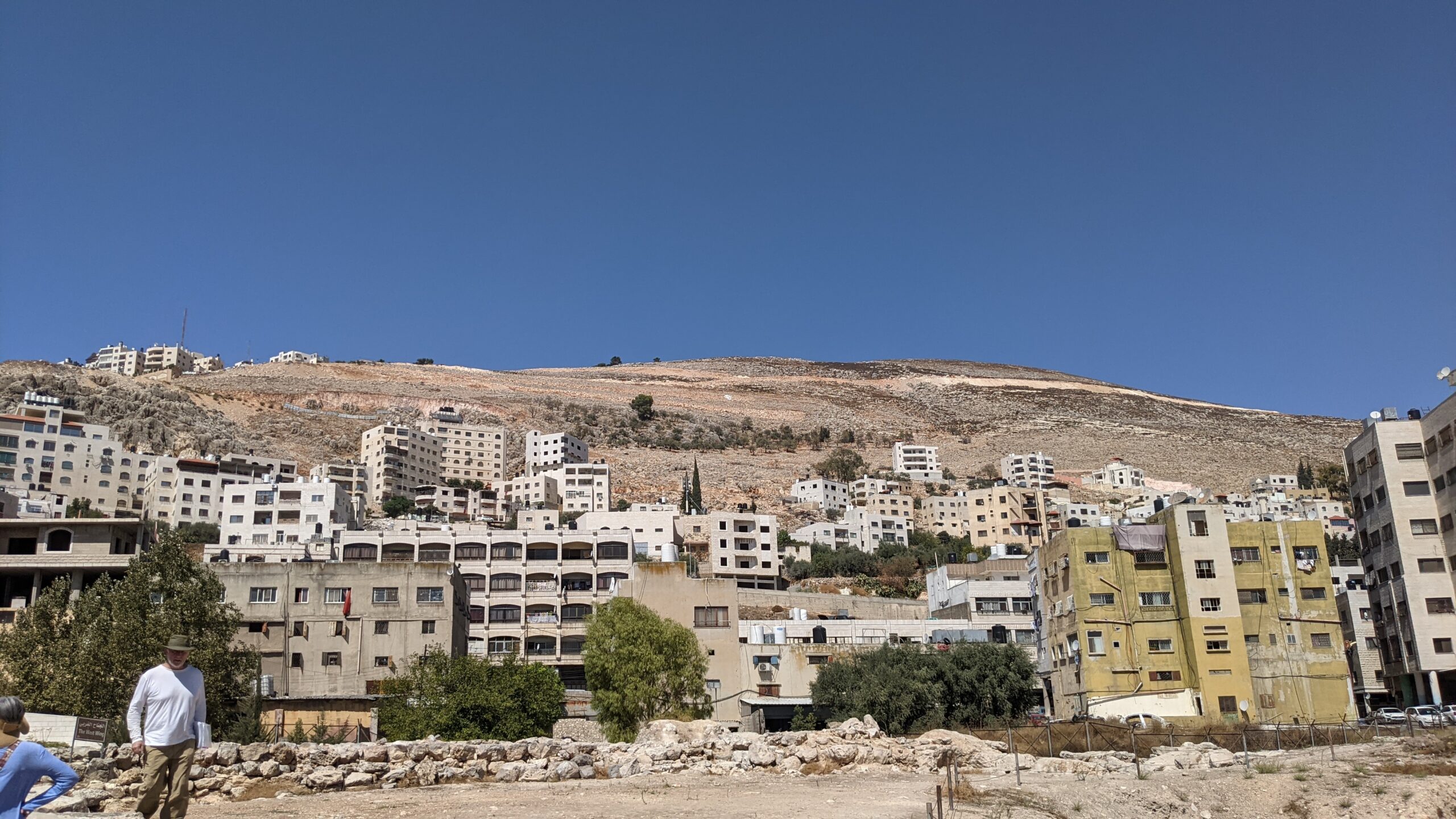 Choose this Day: Lessons from the Kings of Israel – Dalton Williams